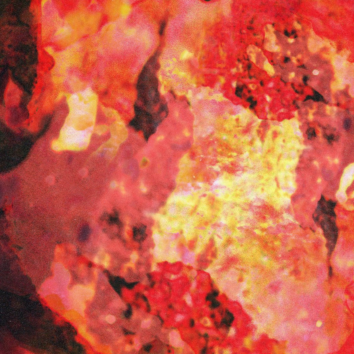 Drone Releases New Sample Pack and 'Pale Fire' Track | Synchronicity